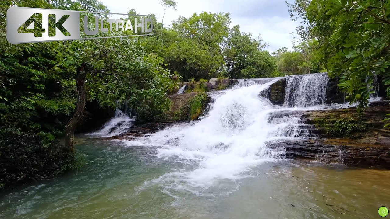 Musique zen, calme et relaxante. Multiples paysages naturels. Aide pour ...