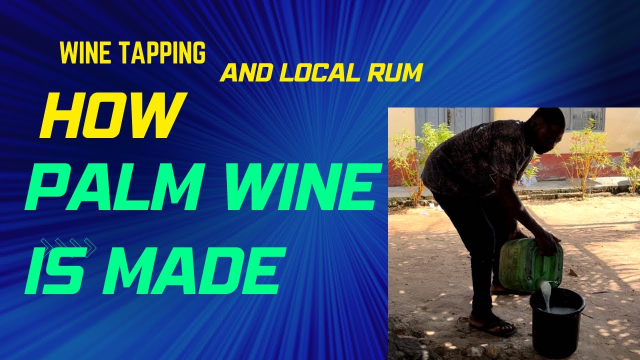 Palm Wine Tapping/How Palm Wine Is Made: Ghana's Original Method - YouTube