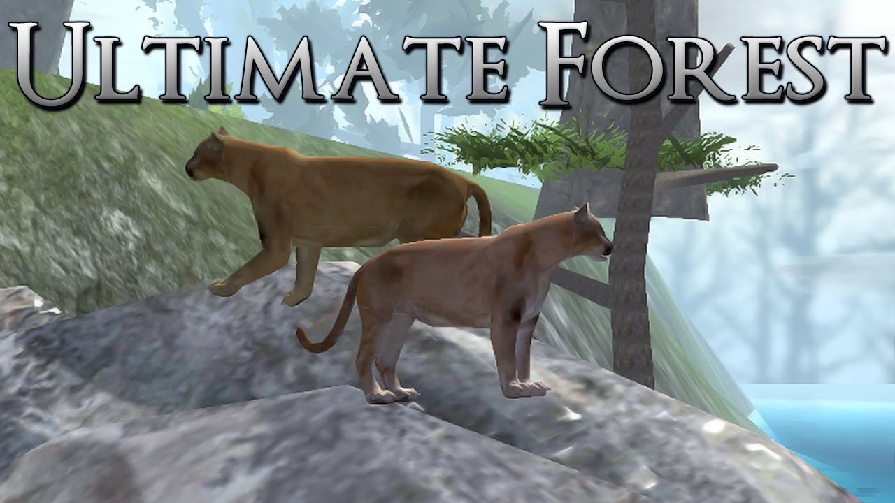 Learning to Live As a Wild Cougar!! • Ultimate Forest Simulator - YouTube