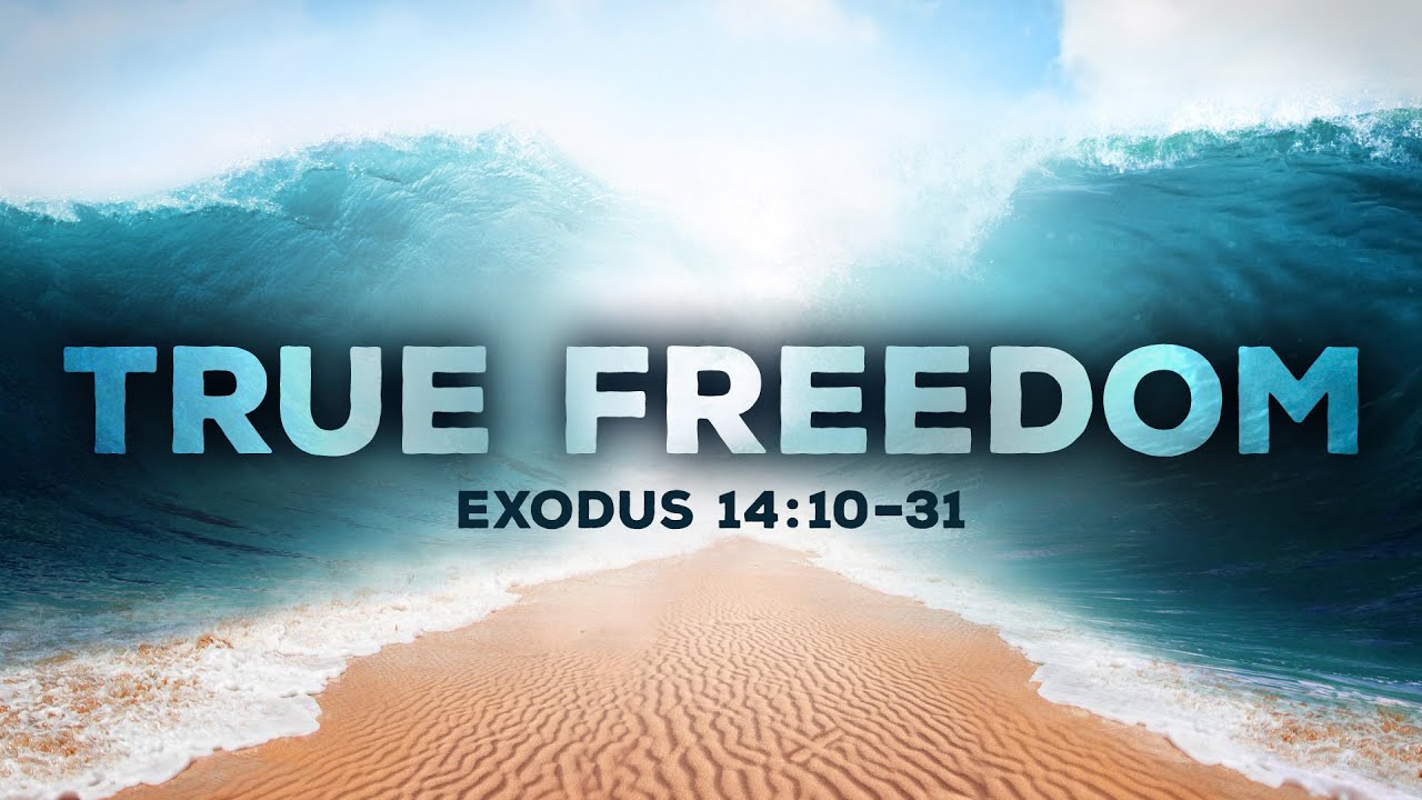 2022-07-31 Sermon: True Freedom - YouTube