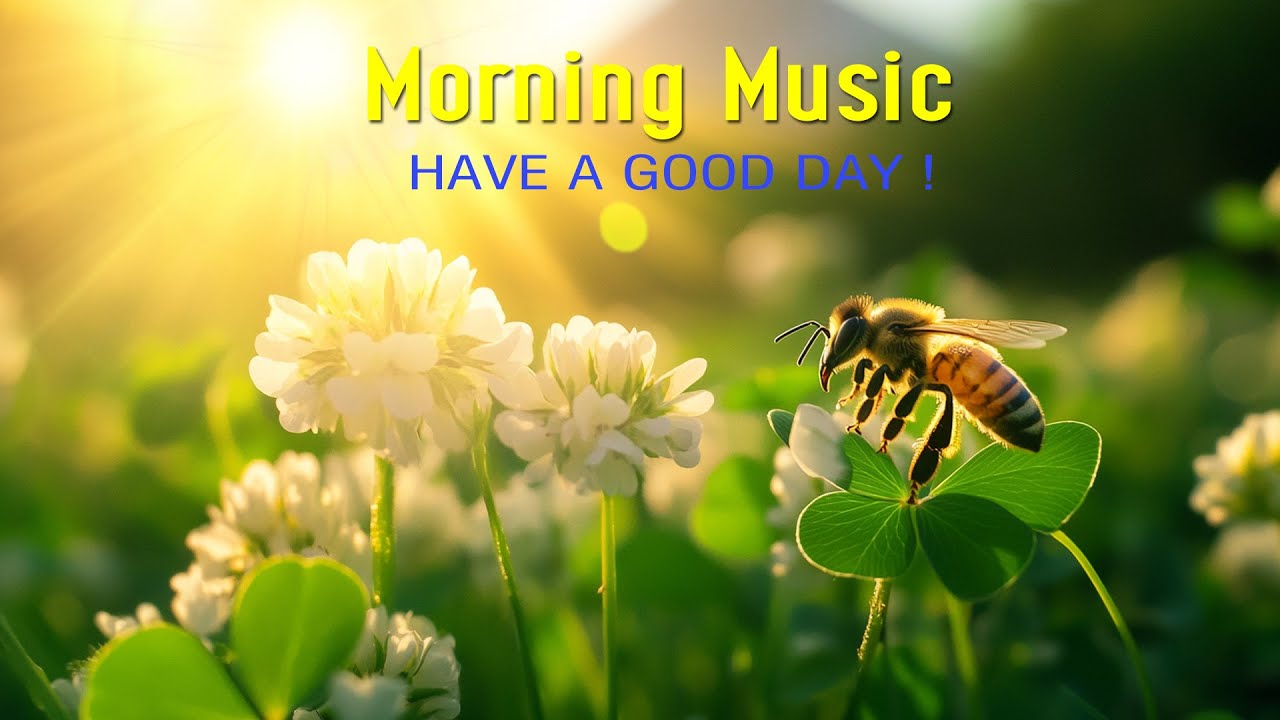 GOOD MORNING MUSIC - Wake Up Happy With Energetic Full Flow - Morning ...