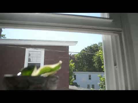 The truth from a roo by joe bodnar - YouTube