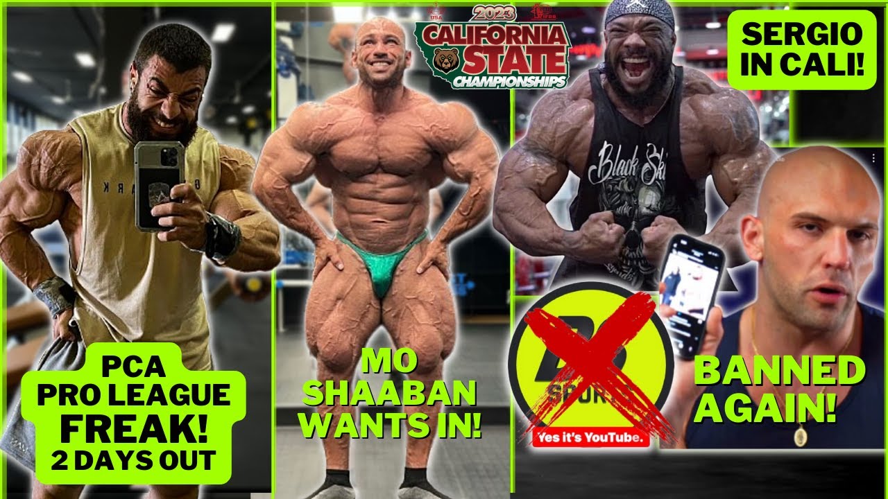 Nick Trigili's New Channel TAKEN DOWN! Nick Speaks Out! - Sergio + Mo ...