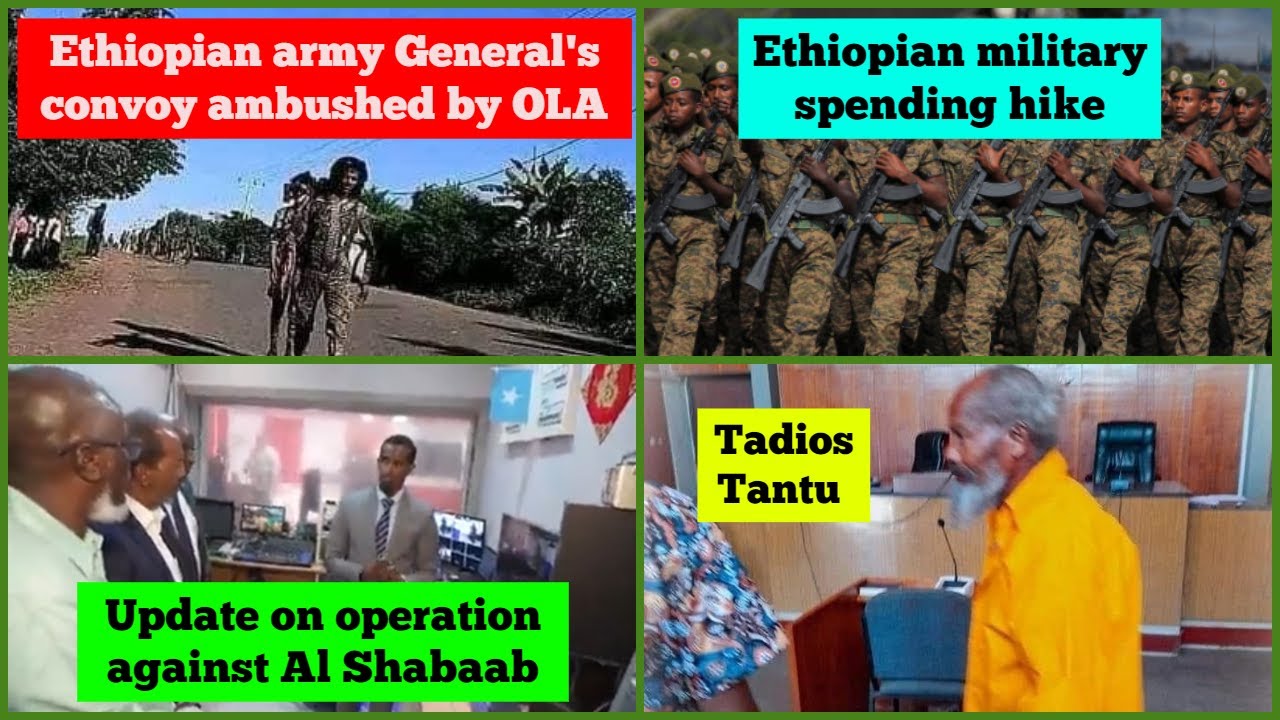 Ethiopian General's convoy ambushed by OLA | Ethiopian military budget ...