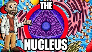 The Nucleus: The Brain of the Cell Explained!