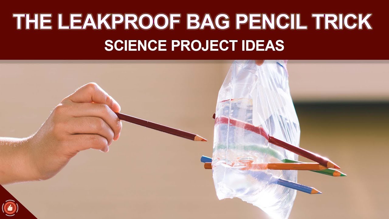 The Leakproof Bag Pencil Trick - Science Project Ideas - YouTube