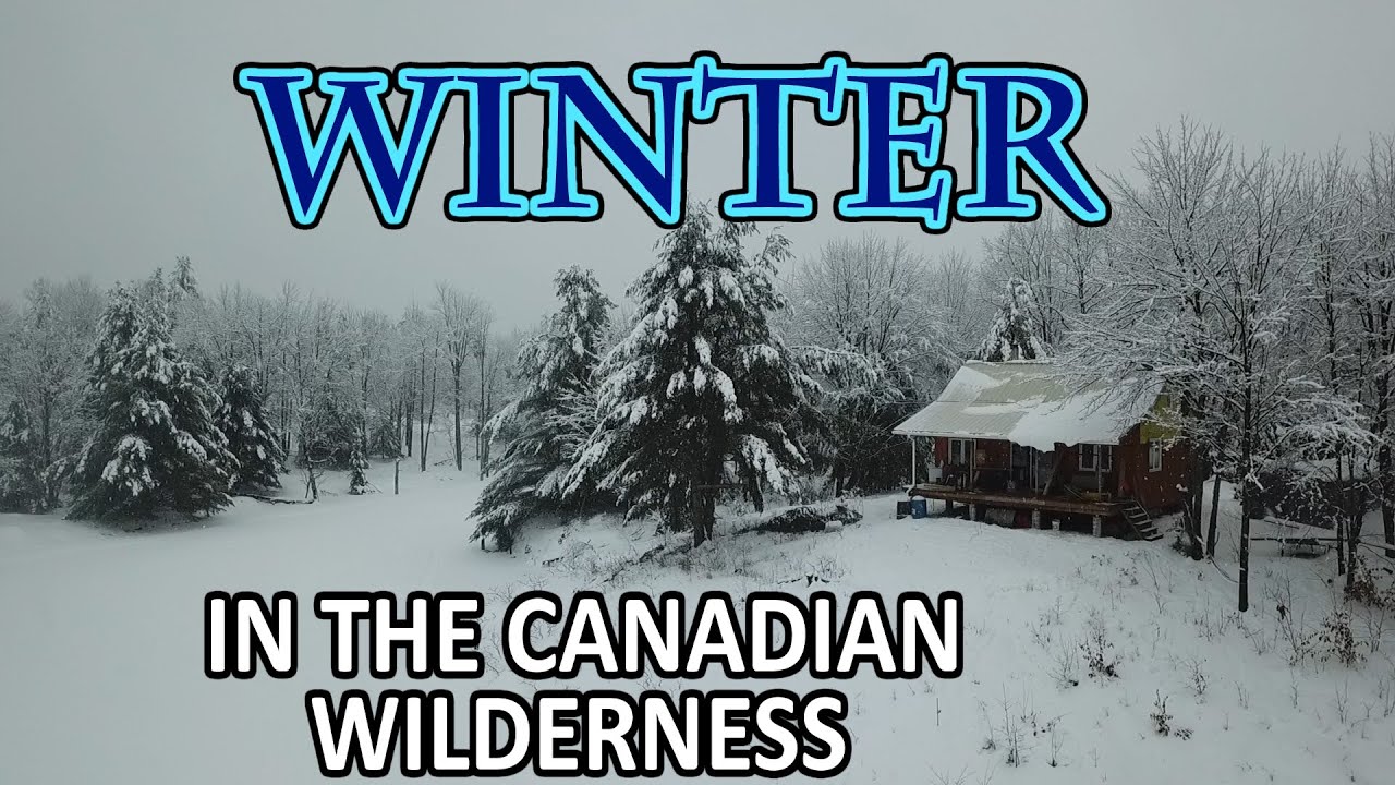 Winter in the Canadian Wilderness S4 • E04 - YouTube