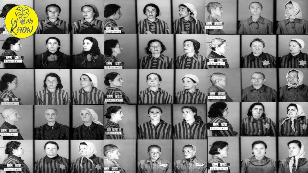 Experts Opened A Secret UN Archive And Discovered Holocaust Documents ...