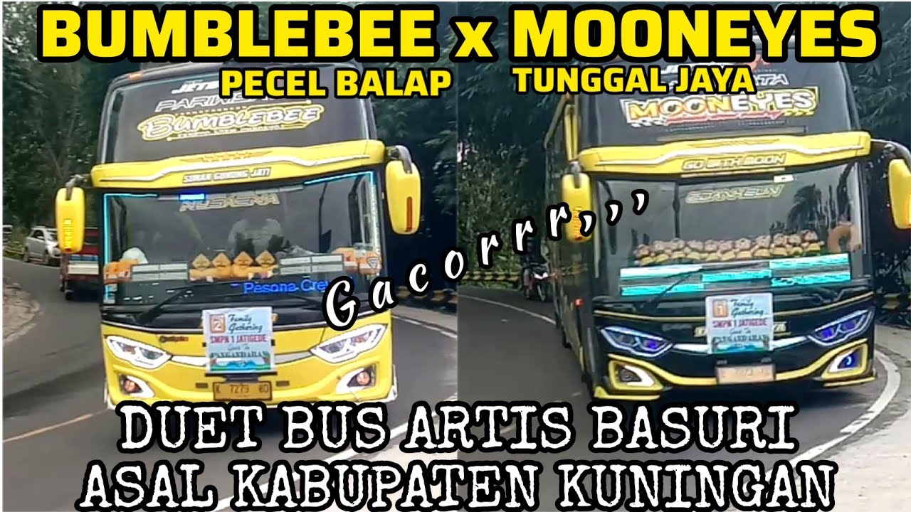 GACORR II DUET BUS ARTIS BASURI ASAL KAB KUNINGAN BHUMBLEBEE x MOONEYES ...