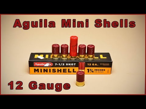 Aguila Mini Shells 12 Gauge - YouTube