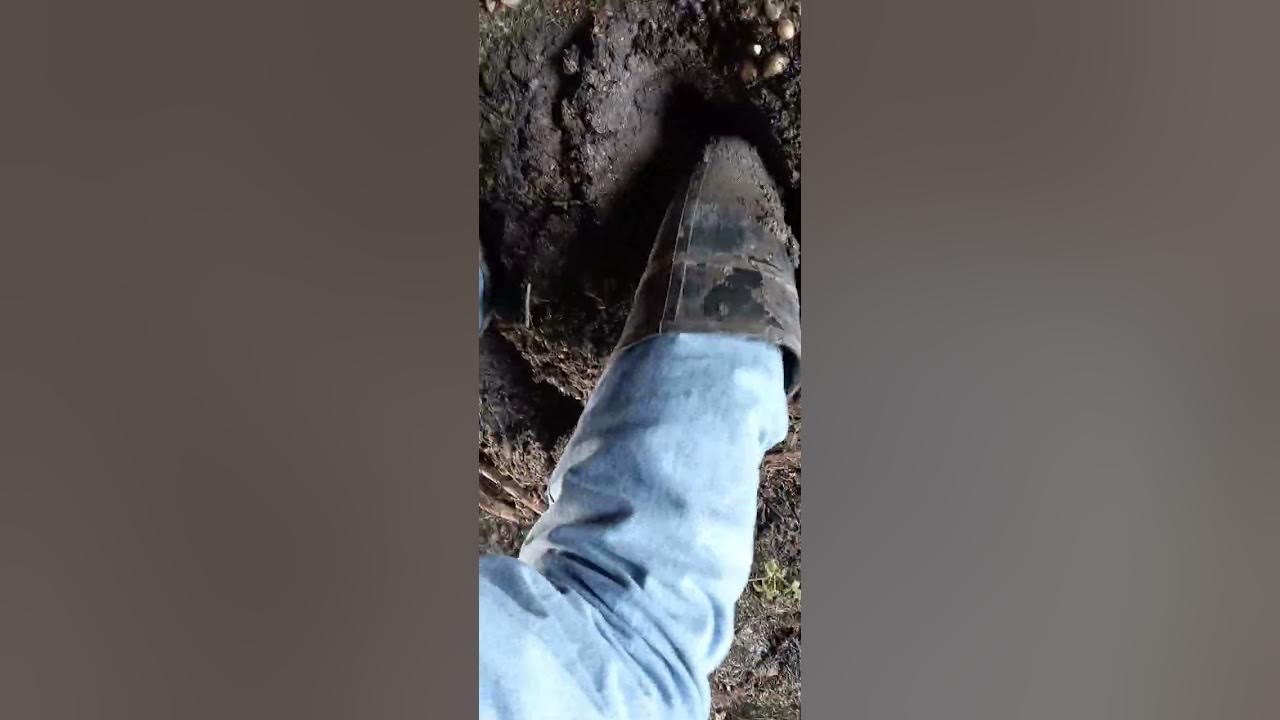 November mud 1 - YouTube