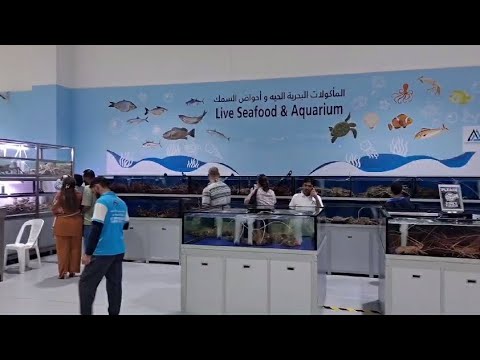Dubai Fish Market So Big Lobster and Crab Dubai Waterfront Fish Market ...