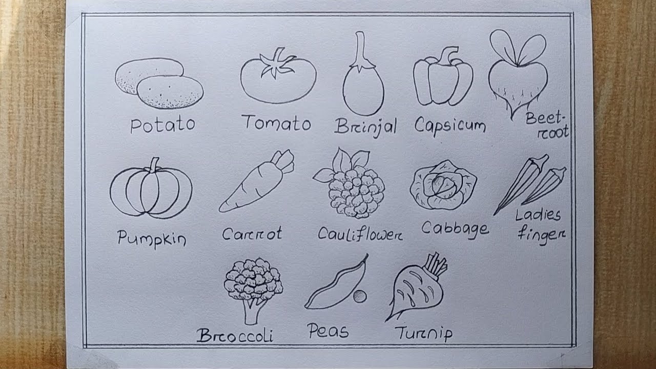 Different types of Vegetables drawing easy| How to draw 13 different ...