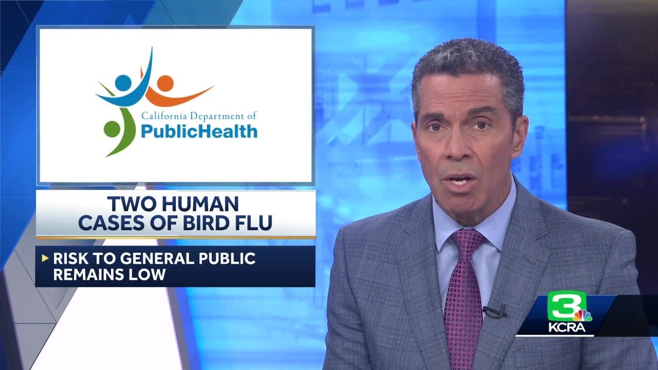 2 cases of bird flu confirmed in California's Central Valley - YouTube