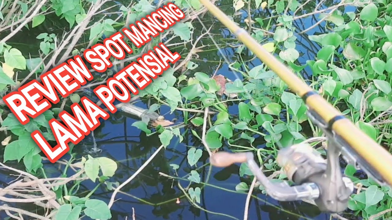 REVIEW SPOT MANCING LAMA POTENSIAL - YouTube