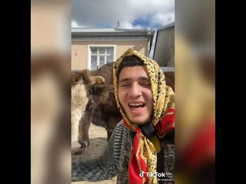 Tiktok videoları cenab ulvi