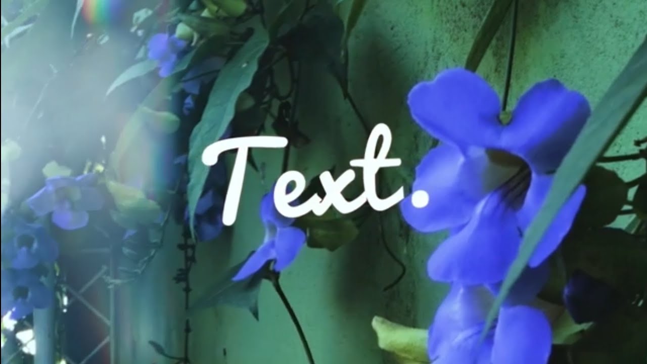 Text | Short Film | 2025 - YouTube