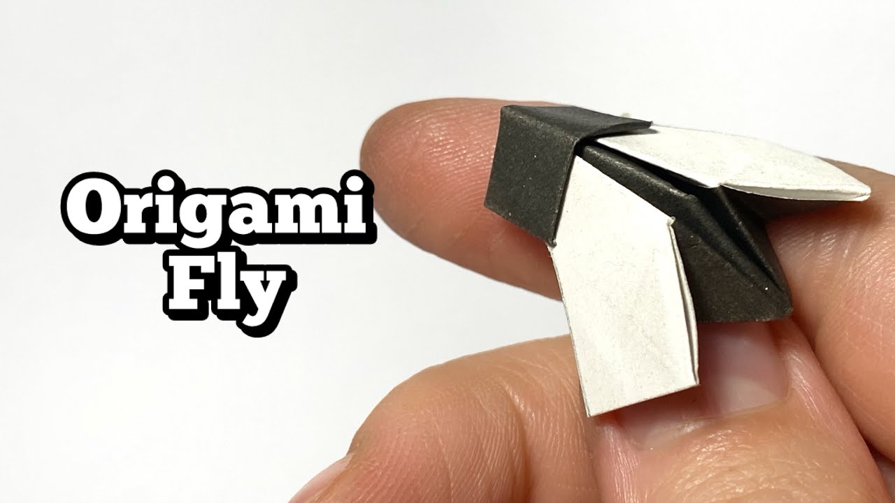How to Make Paper Fly Origami | Easy Paper Fly Origami Tutorial - YouTube
