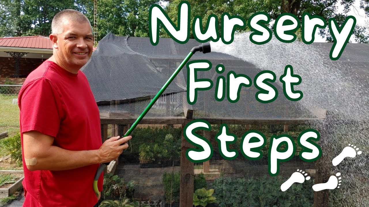 Starting A Nursery - Your Very First Steps - YouTube