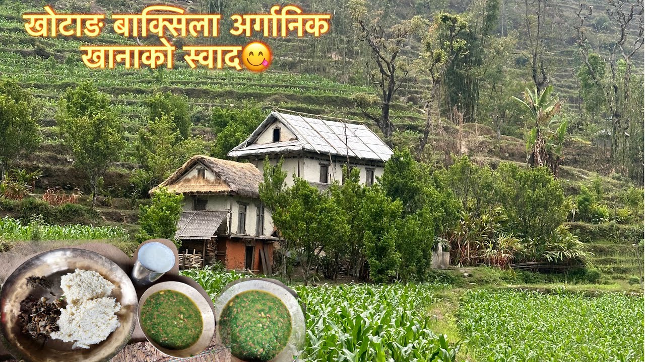 Khotang Baksila Organic khanako swadbeglai😋Bahiniko bihema jada yo ...