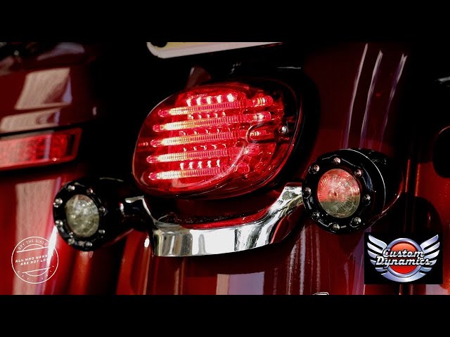 Custom Chopper Tail Lights New Rear Brake Light For Kawasaki Z900RS