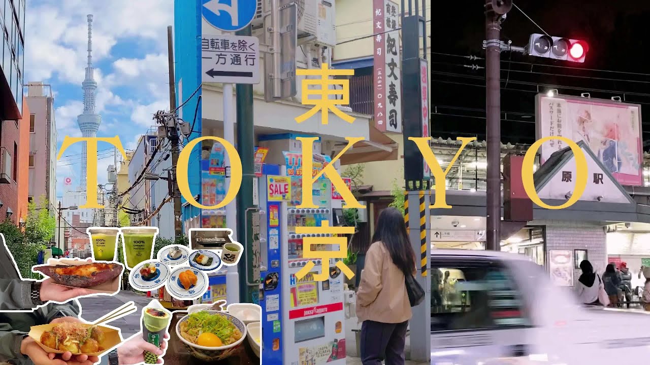 Tokyo Japan Travel Vlog 🍣🍥 I exploring, shibuya sky, teamlab, asakusa ...