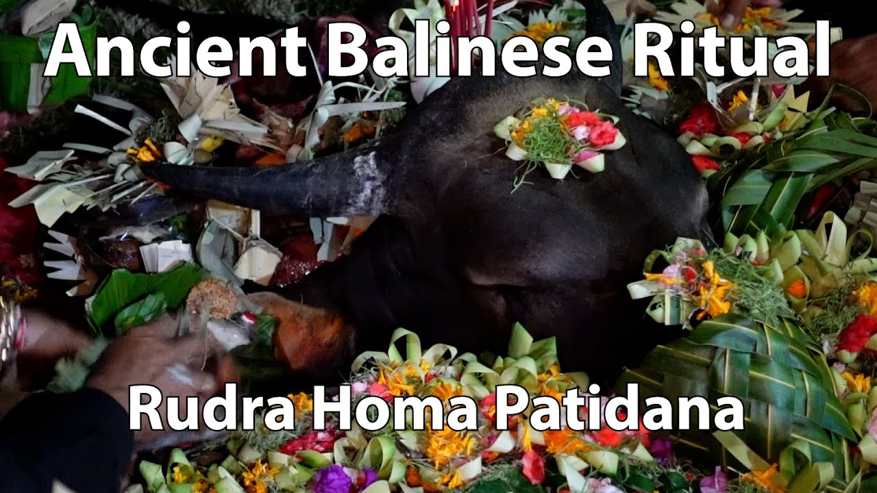Ancient Balinese Rituals - YouTube