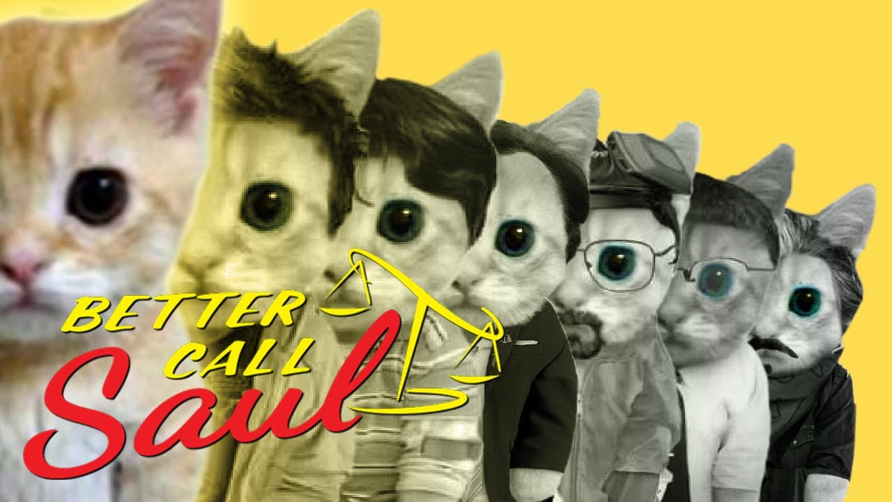 el gato calls Saul - YouTube