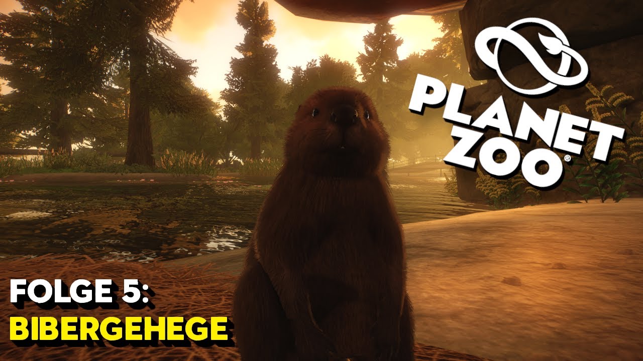 Großes Bibergehege - Folge 5 - Planet Zoo - YouTube