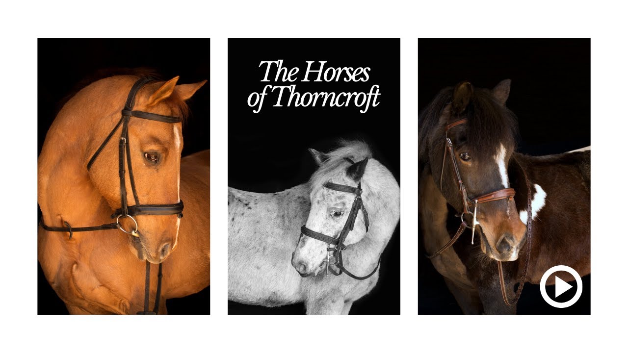 The Horse of Thorncroft 720p - YouTube