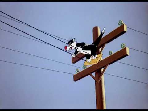 Dog Pounded: Sylvester attempt 03