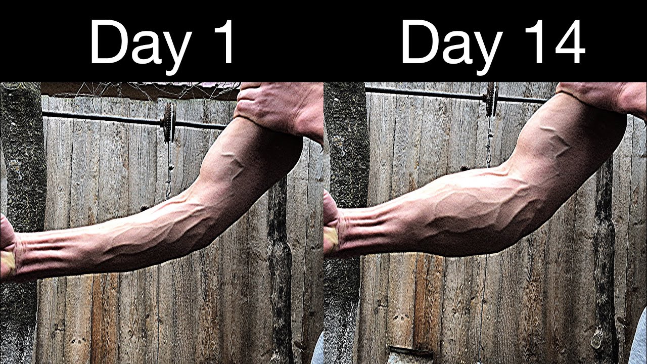 How to build big forearms in 2 weeks | Home Workout - YouTube