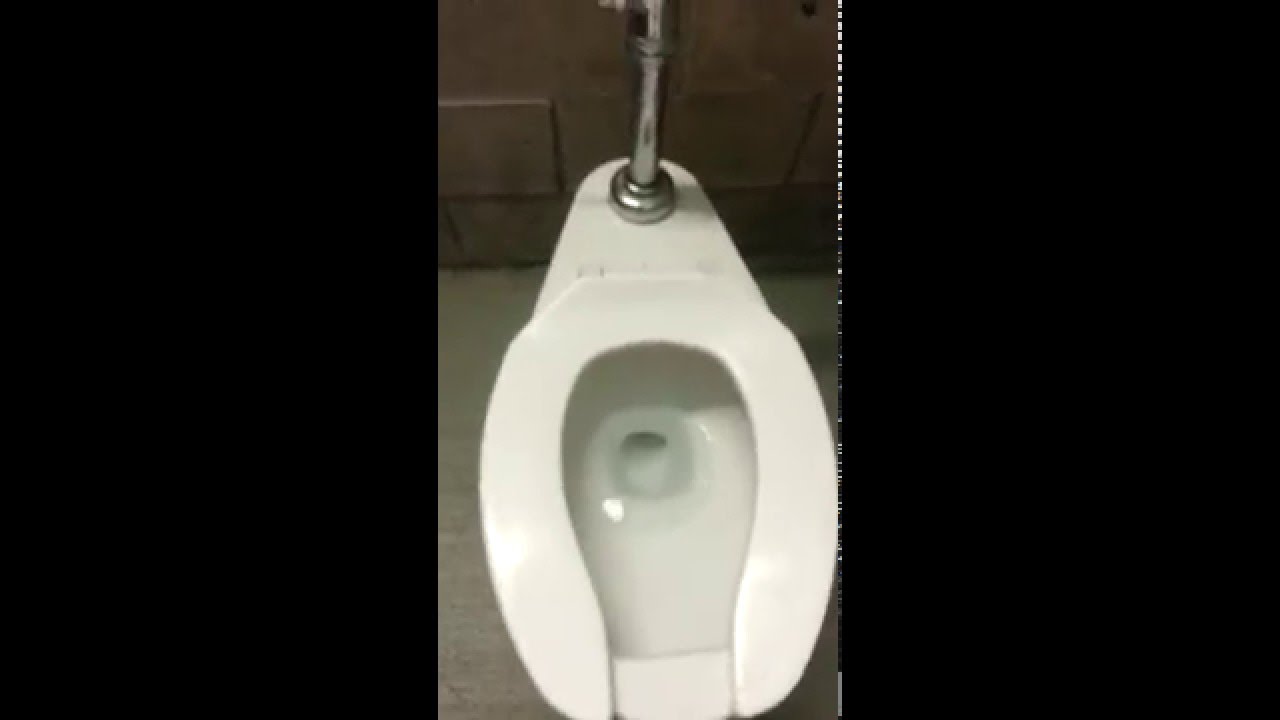 Crane Plumbing Flushometer Toilet at Shubie Park - YouTube