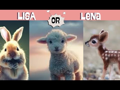 LISA OR LENA - Cuties animals - YouTube