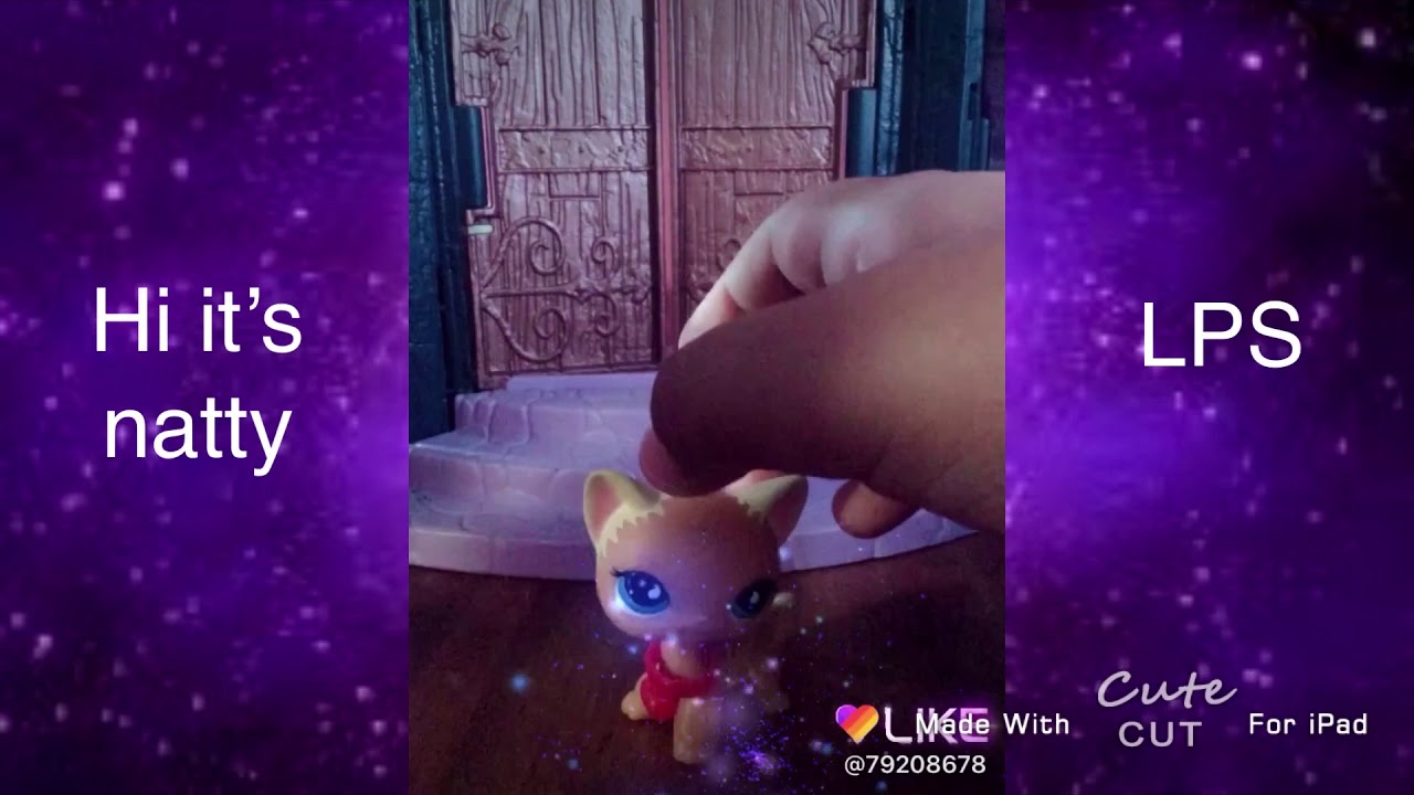 LPS just saying LPS lily and kit kat coming soon yay - YouTube