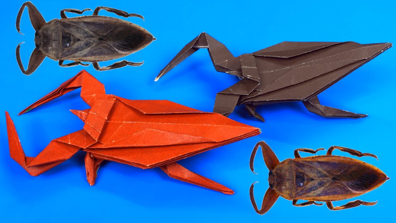 How to origami a giant water bug 🟩 make a giant water beetle out of ...