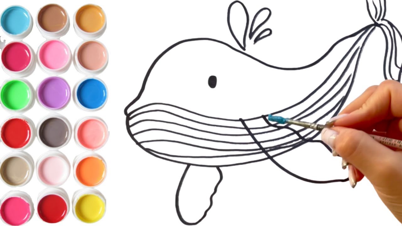 Drawing a whale Like Never Before - How to draw a whale - YouTube