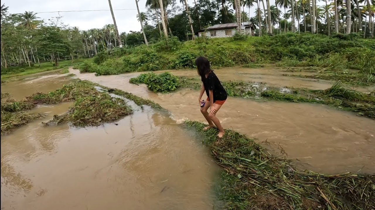 BINAHA ANG PALAYAN KO - YouTube