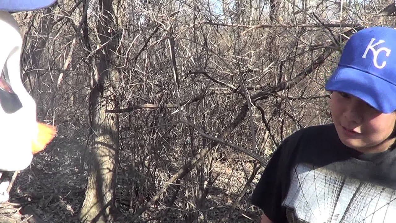 Jack's New LIfe Episode 2 - The Job for Jack - YouTube