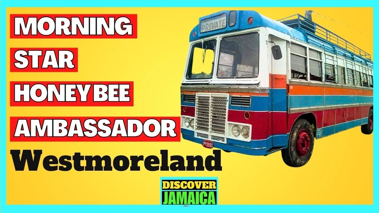 JAMAICAN OLD TIME BUSES FROM WESTMORELAND - MORNING STAR, AMBASSADOR ...