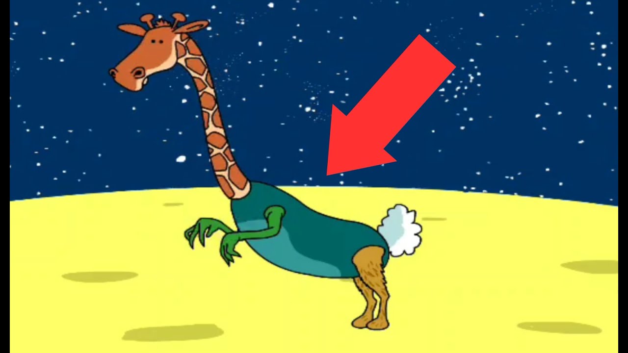 animal muddle | funny animal #6 - YouTube