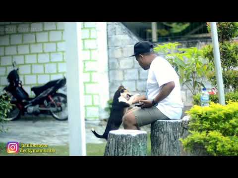 Lebih baik sayang anjing yang macam Manusia - YouTube
