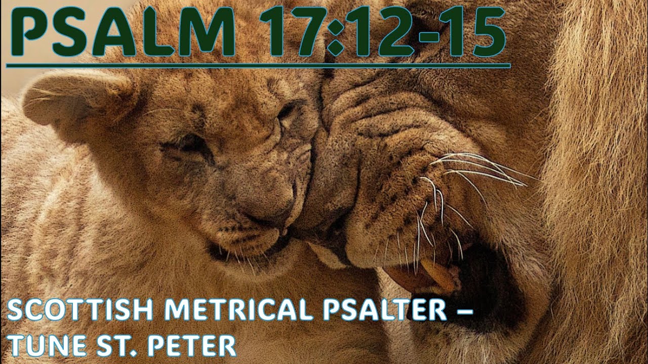Scottish Metrical Psalter 1650 Psalm 17:12-15 - Tune St. Peter ...