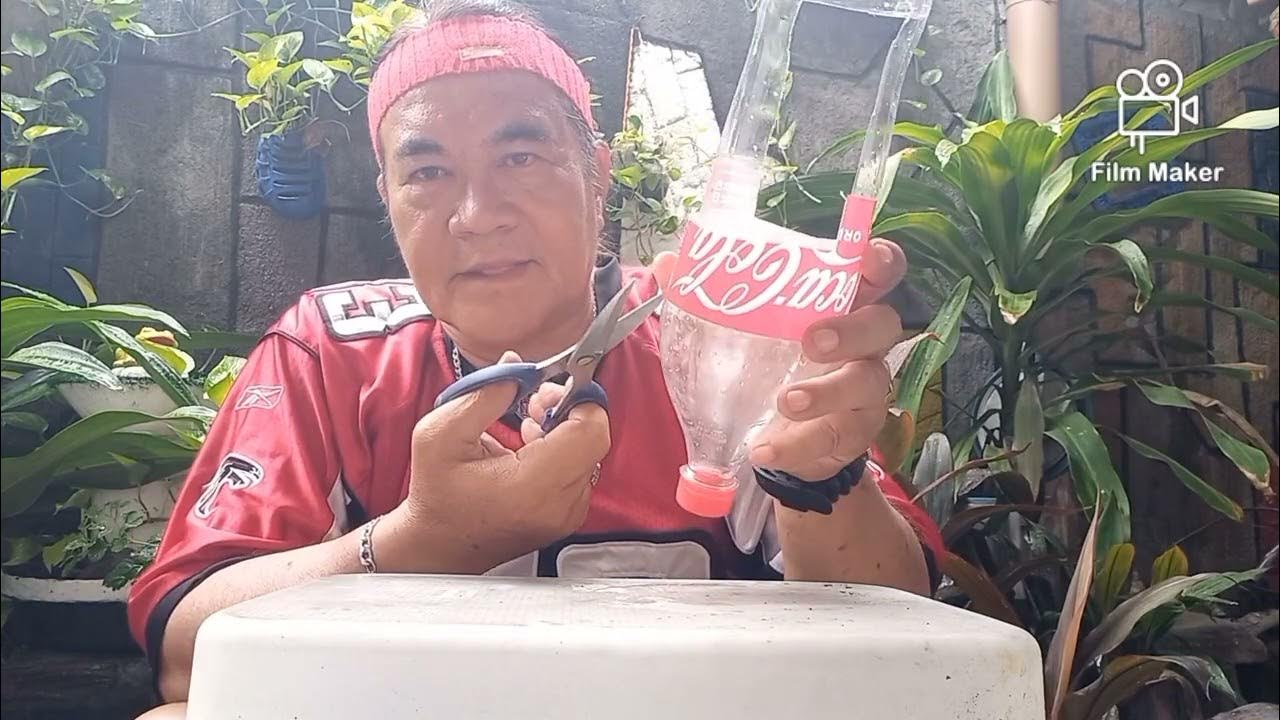 paano magtanim ng Halaman sa tubig at magparami - YouTube