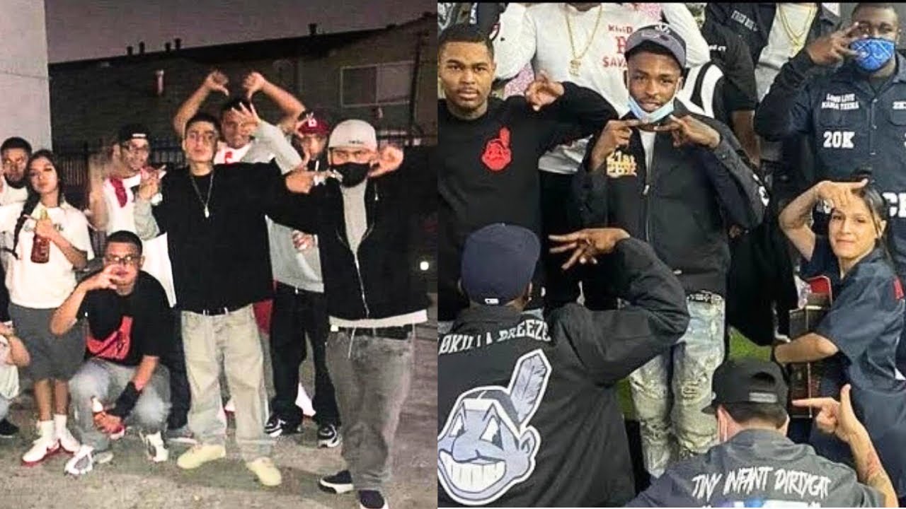 LONGO vs INSANE CRIPS MEXICAN & BLACKS CLASHING‼️Bodies Dropping In ...