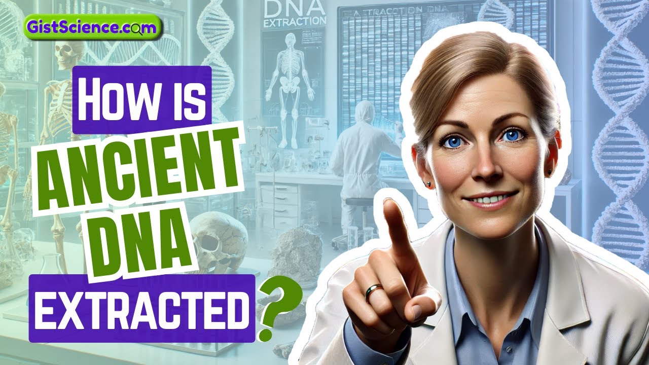 How is ancient DNA extracted? - YouTube