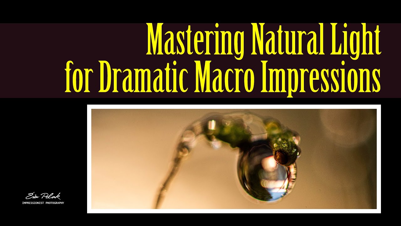Mastering Natural Light for Dramatic Macro Impressions - YouTube