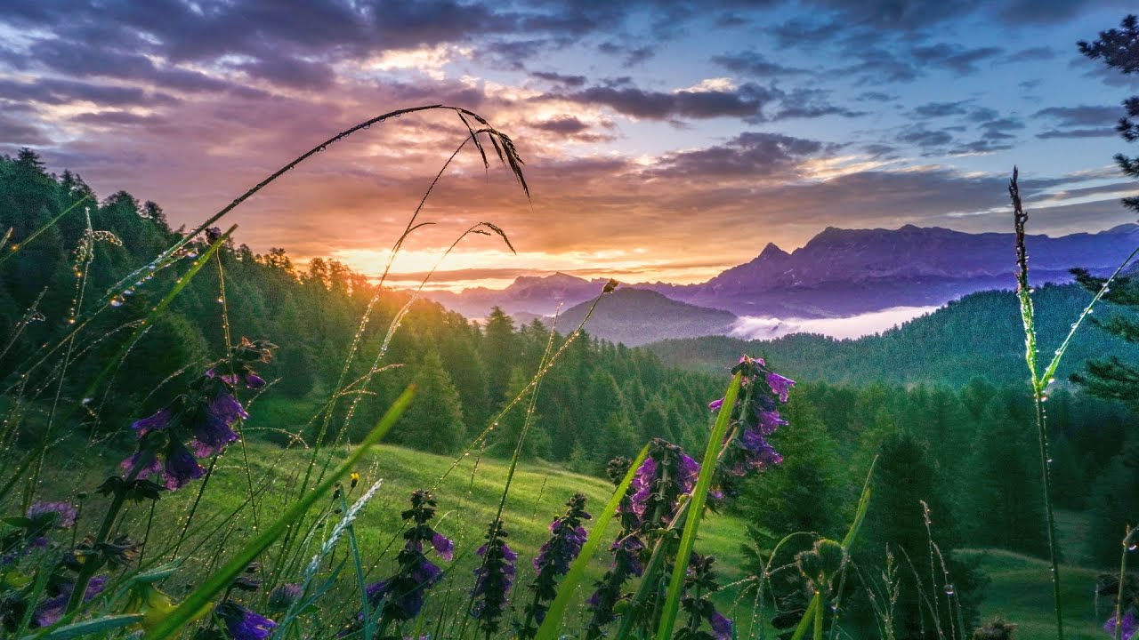 Beautiful Nature Music for Sleep, Study, Relax | 2 hours | Good Vibes ...