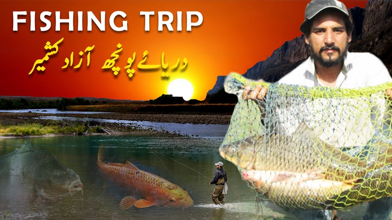 Gulfam/China/Common Carp Fishing | Near Mangla, Rajdhani, Azad Kashmir ...