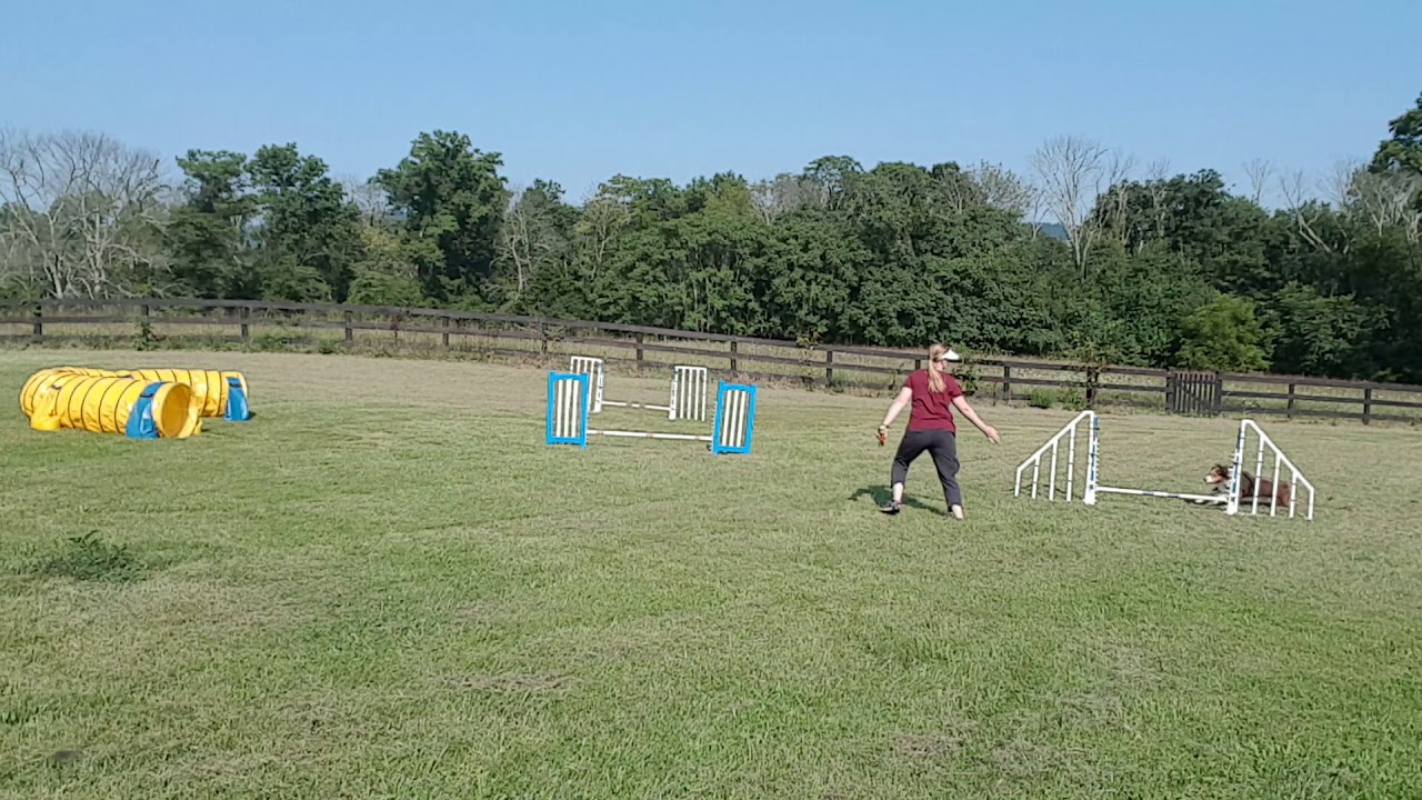Gambit - agility outside s-path - 08-21-2017 - YouTube
